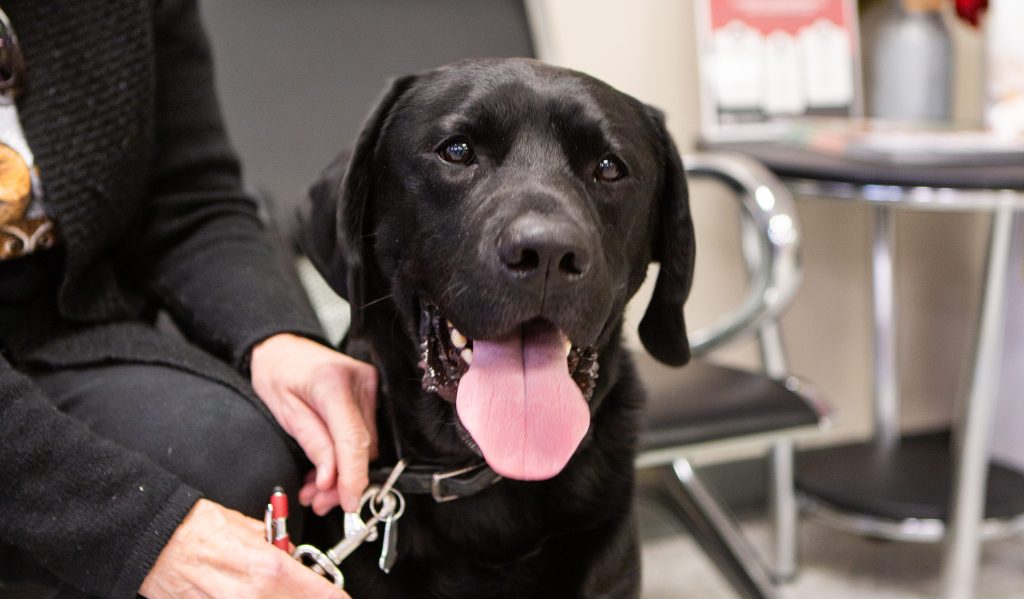 Vaccine-Clinic - Good Dog, DYNO