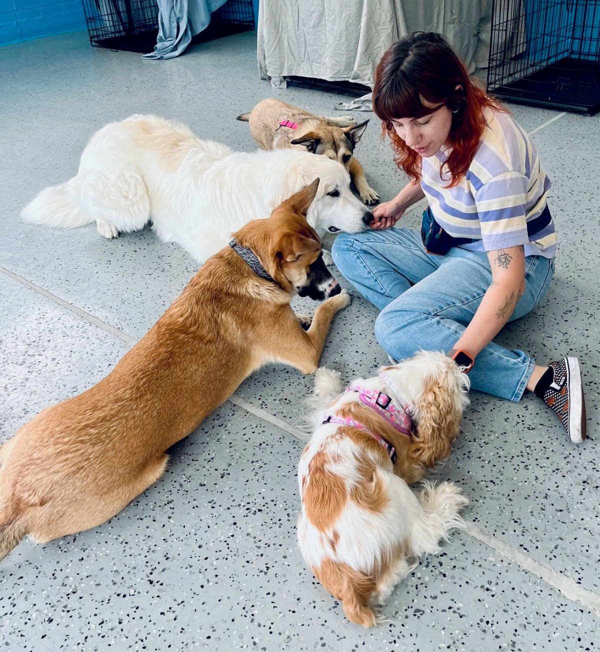 Our Team - Good Dog, DYNO