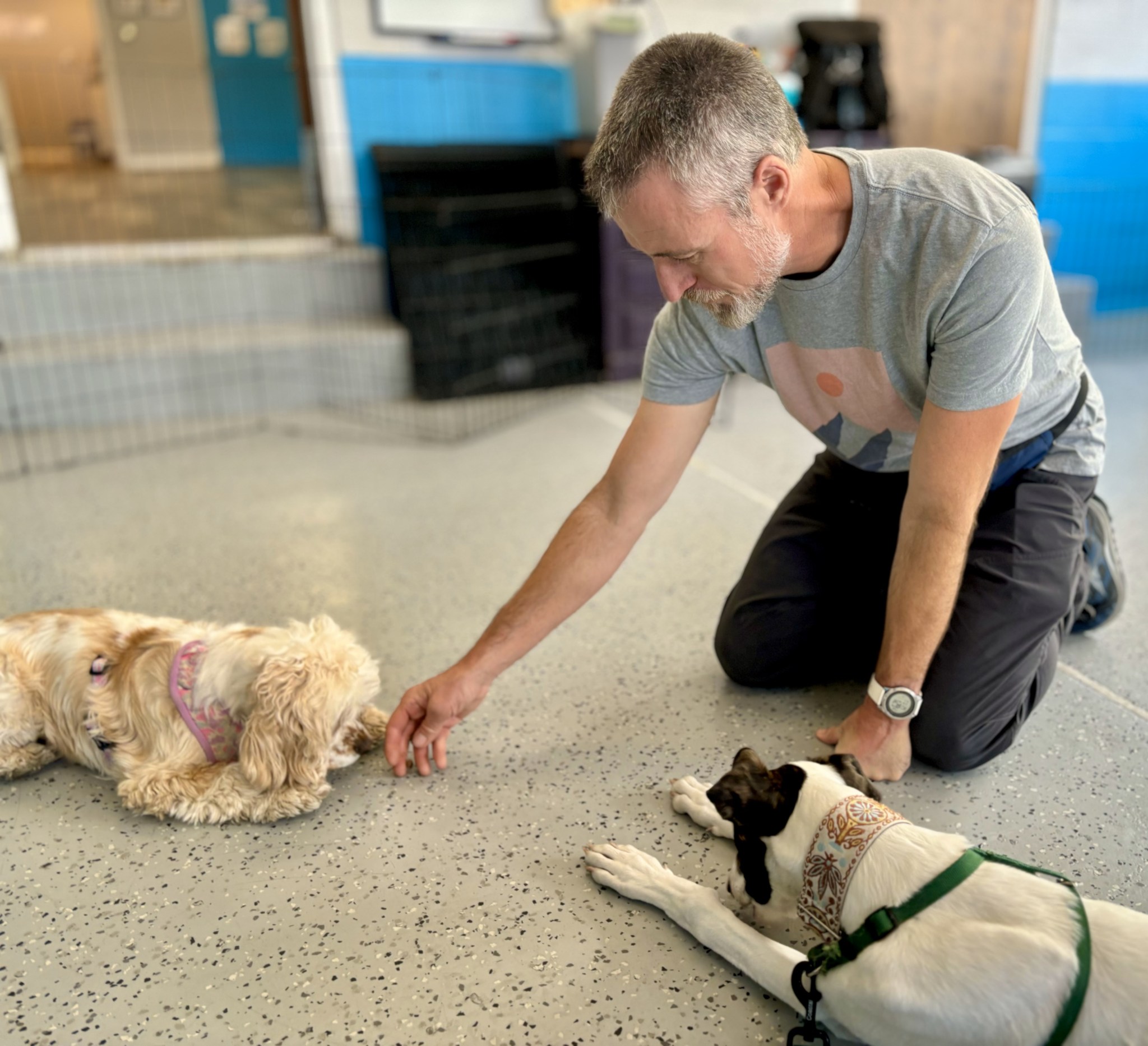 Our Team - Good Dog, DYNO